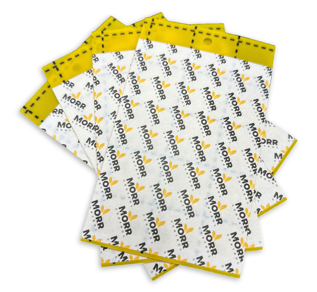 MORR Control Double-Sided Sticky Cards - 3-Inch x 5-Inch - Aphid ...